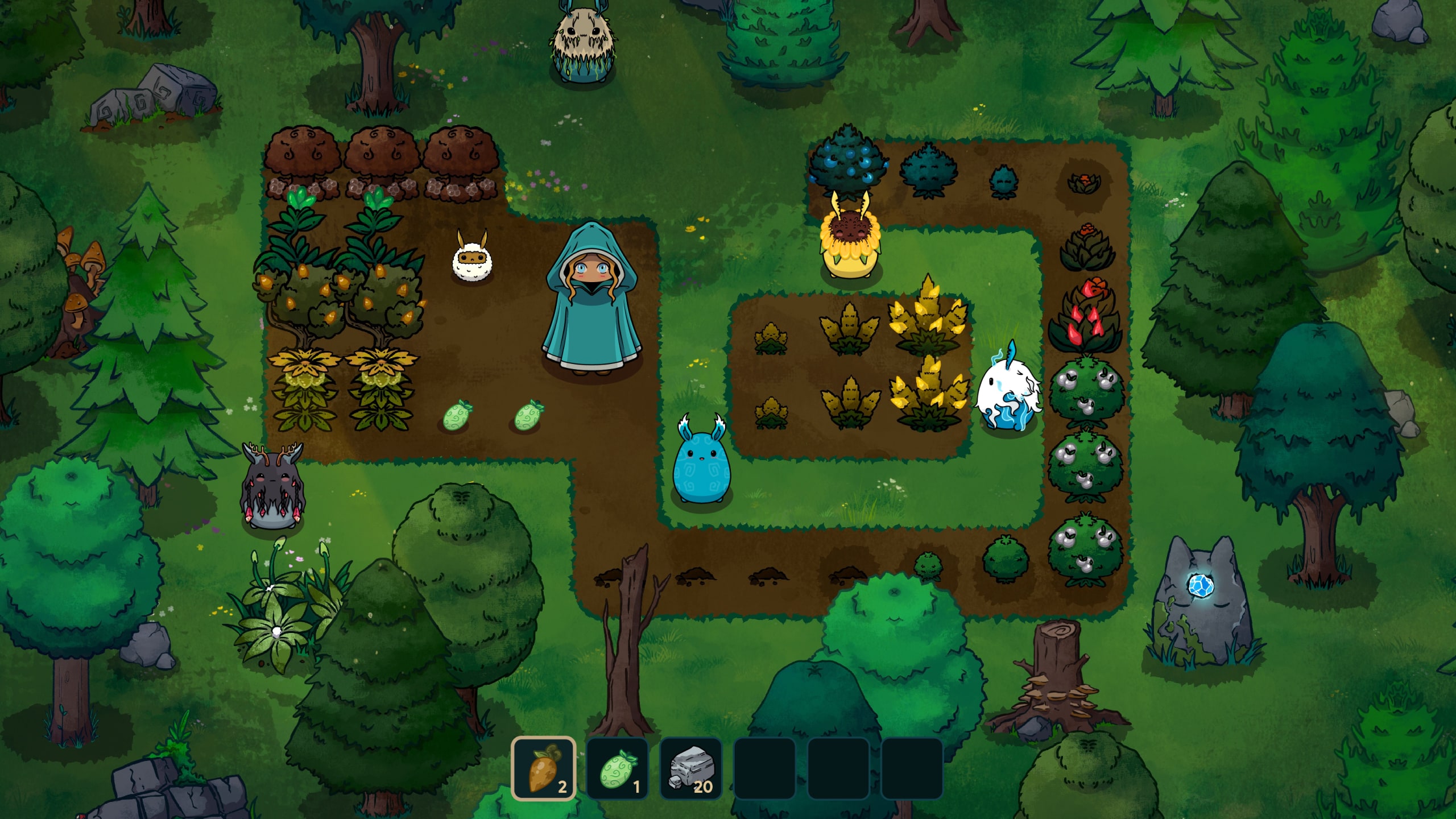 Chumbi types and characteristics - Chumbi Valley