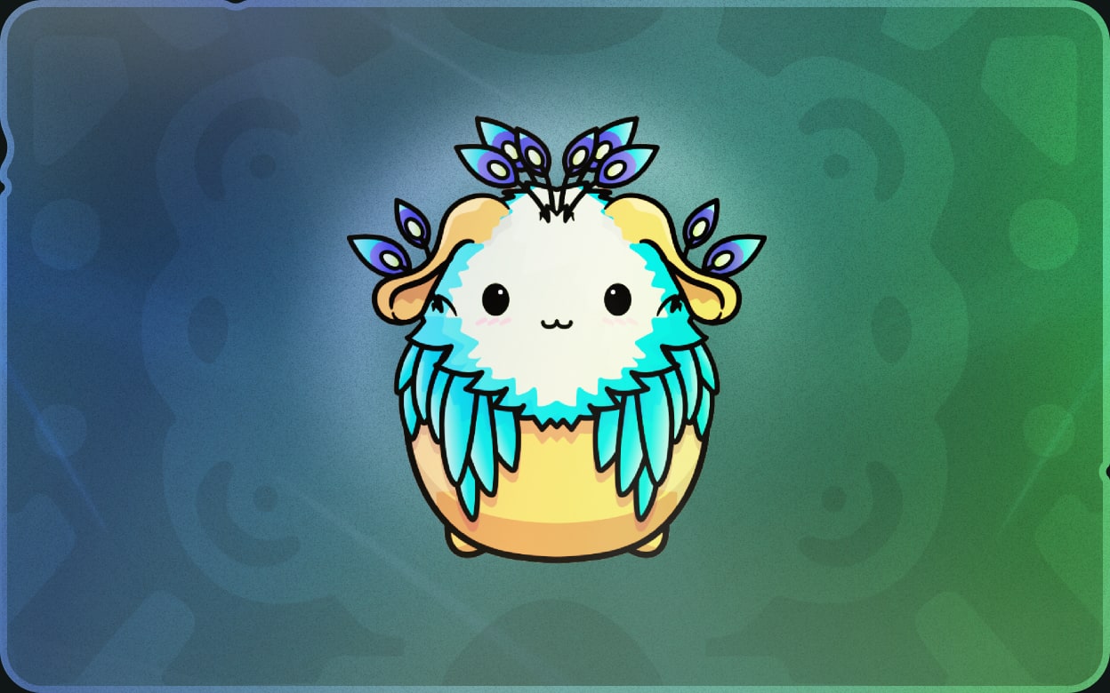 Chumbi types and characteristics - Chumbi Valley